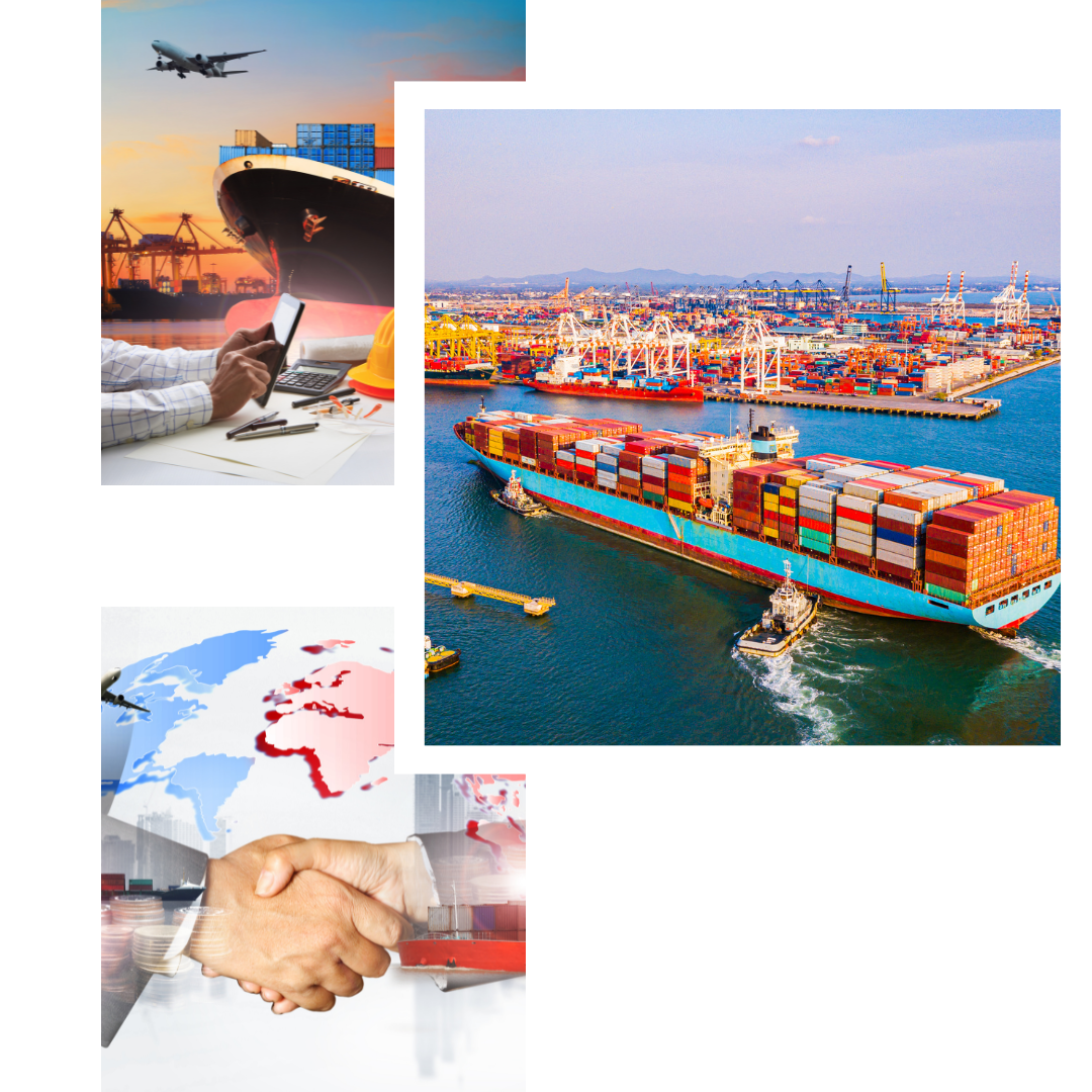 AIETPL - India's renowned Export Import Company with a presence of more ...